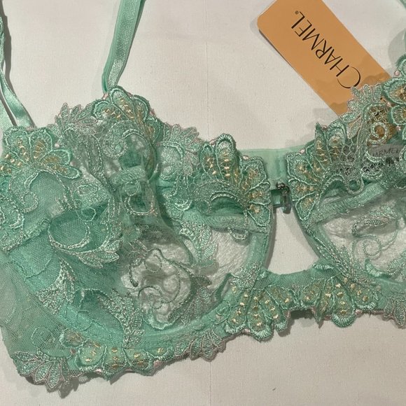 Lise Charmel | Intimates & Sleepwear | Lise Charmel Floral Dressing ...